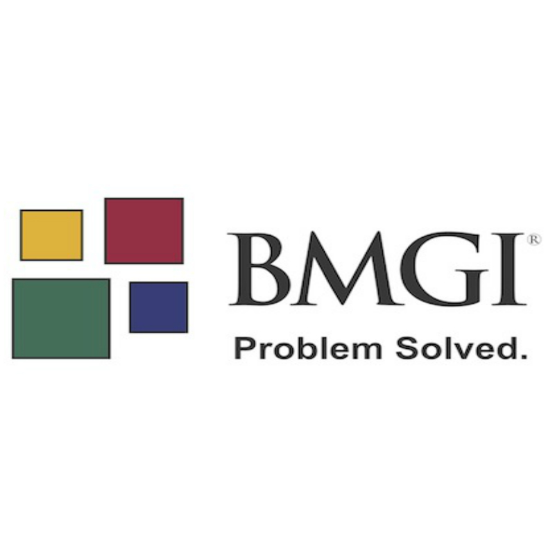 BMGI - OneWorld Language Solutions